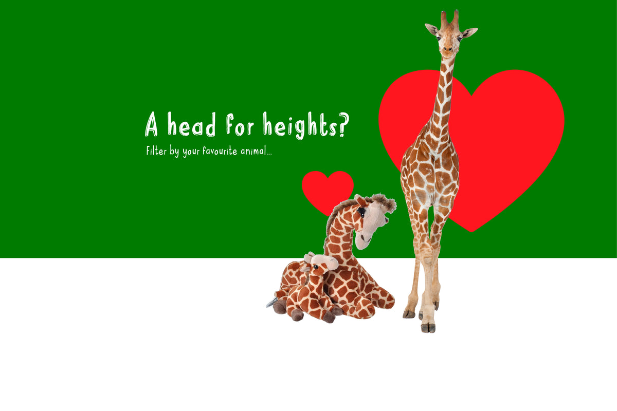 ROTHSCHILD'S GIRAFFES – Chester Zoo Enterprises Ltd