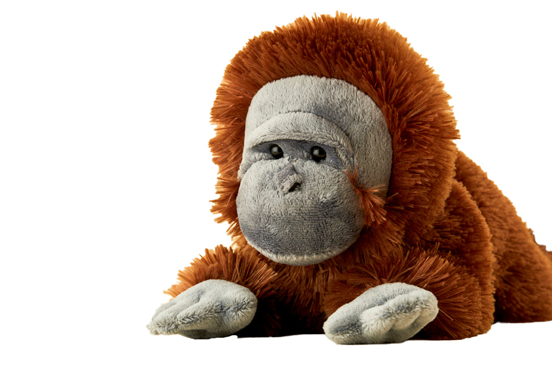 Sumatran Orangutan 30cm Large Soft Toy – Chester Zoo Enterprises Ltd