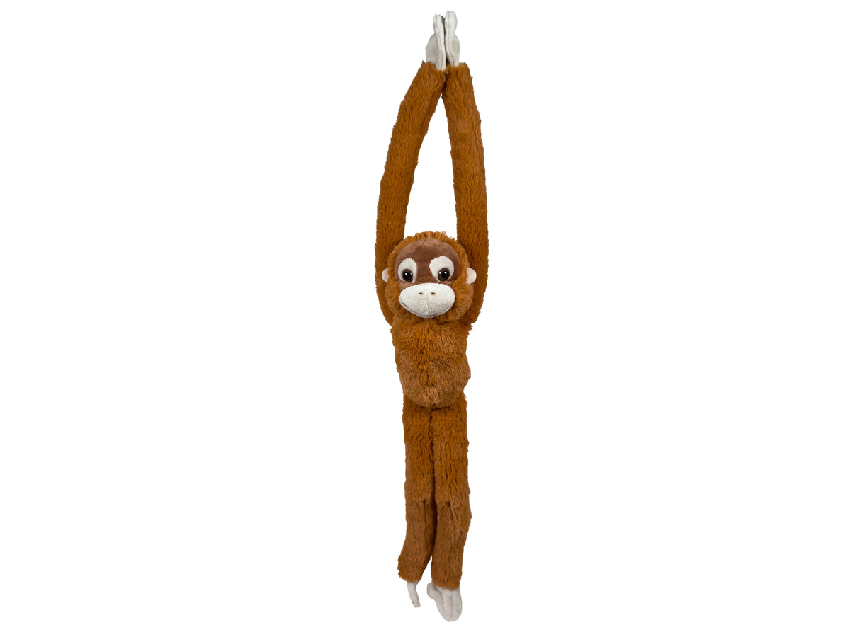 Hanging Orangutan 50cm – Chester Zoo Enterprises Ltd