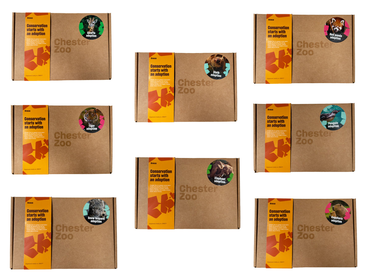 Bronze Gift Adoption – Chester Zoo Enterprises Ltd