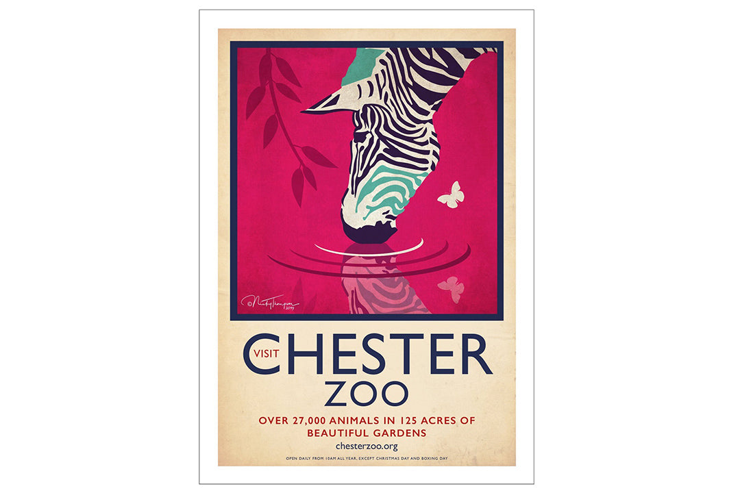 Zebra Poster – Chester Zoo Enterprises Ltd