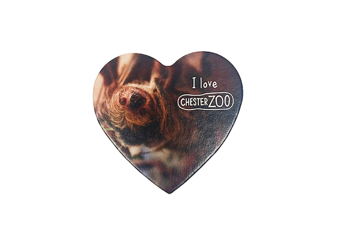 Two Toed Sloth I Love Chester Zoo Magnet – Chester Zoo Enterprises Ltd