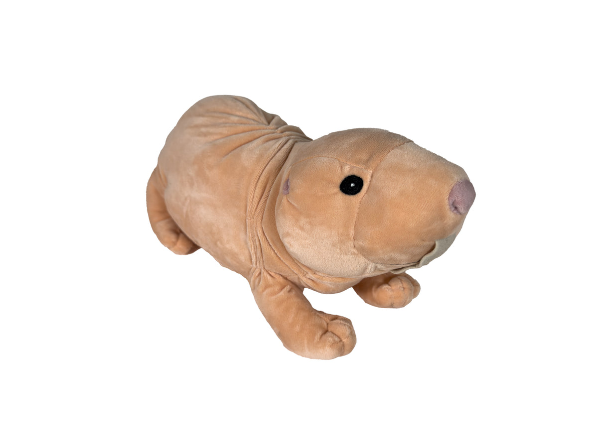 Naked Mole Rat 30cm Large Soft Toy – Chester Zoo Enterprises Ltd