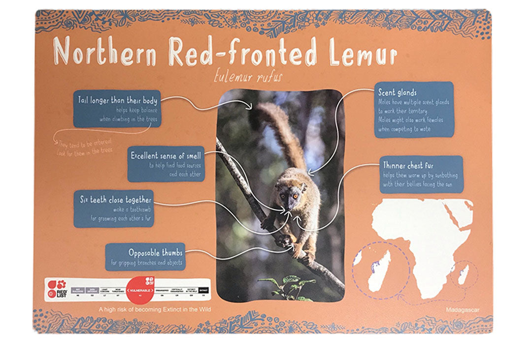 Northern Red-fronted Lemur Sign – Chester Zoo Enterprises Ltd