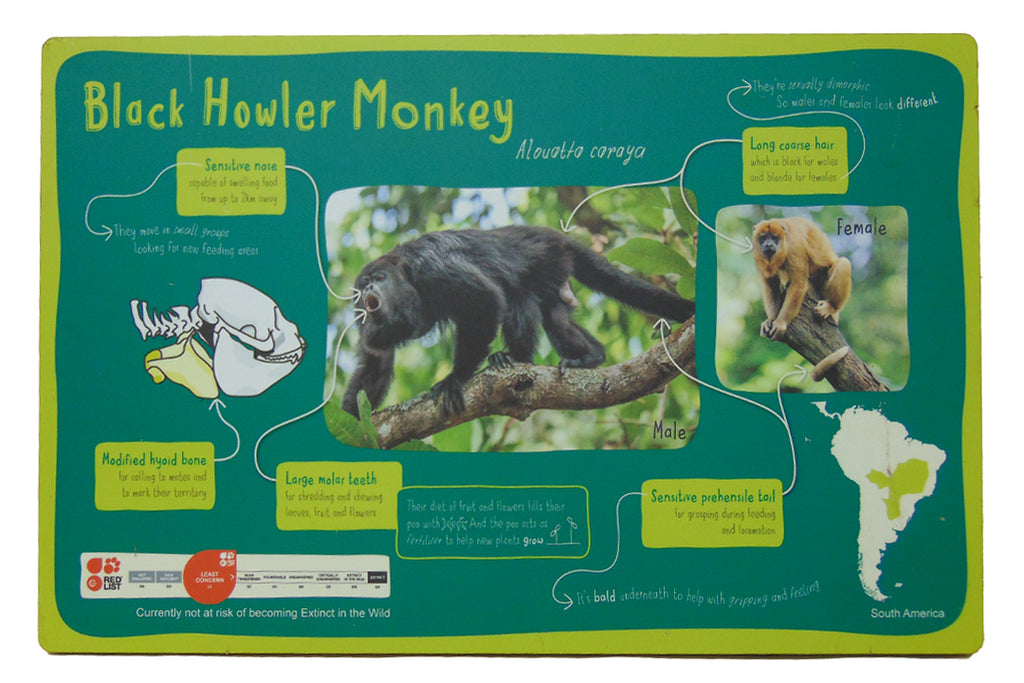 ART & PRINT – Chester Zoo Enterprises Ltd