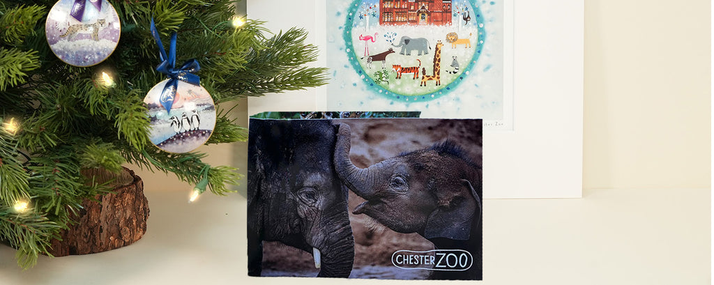 Chester Zoo Online Gift Shop – Chester Zoo Enterprises Ltd