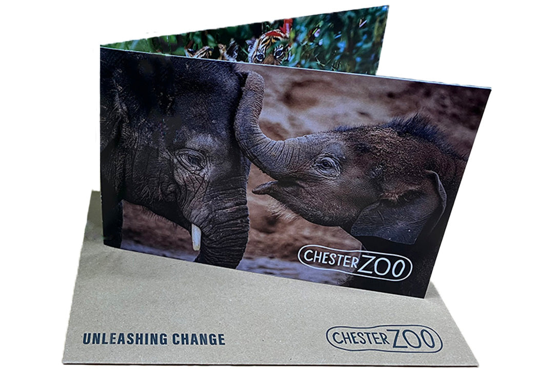 Gift Tickets – Chester Zoo Enterprises Ltd