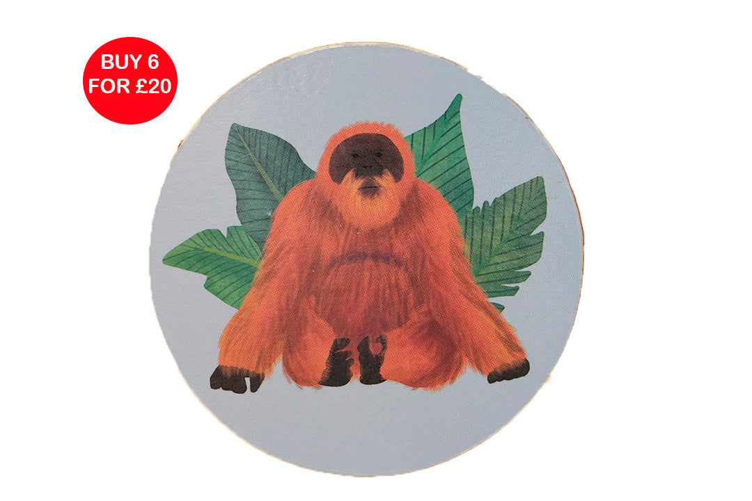 SPECIAL OFFER* - Chester Zoo Wildscapes Coaster - Orangutan – Chester ...