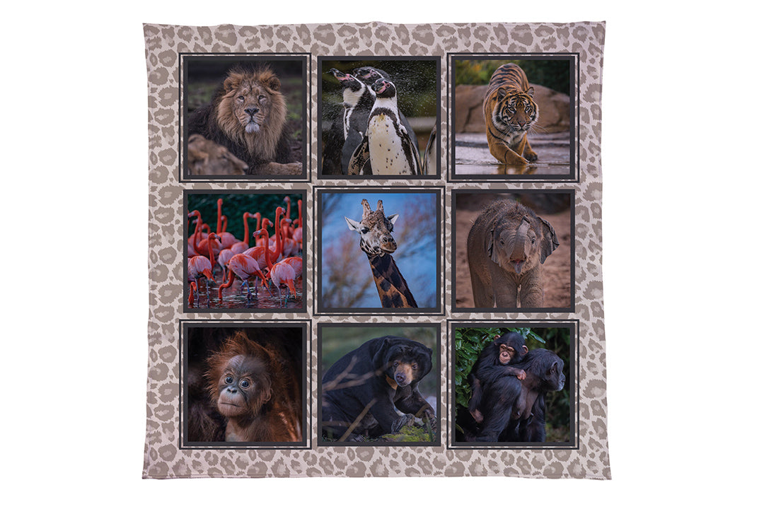 Chester Zoo Photo Blanket – Chester Zoo Enterprises Ltd