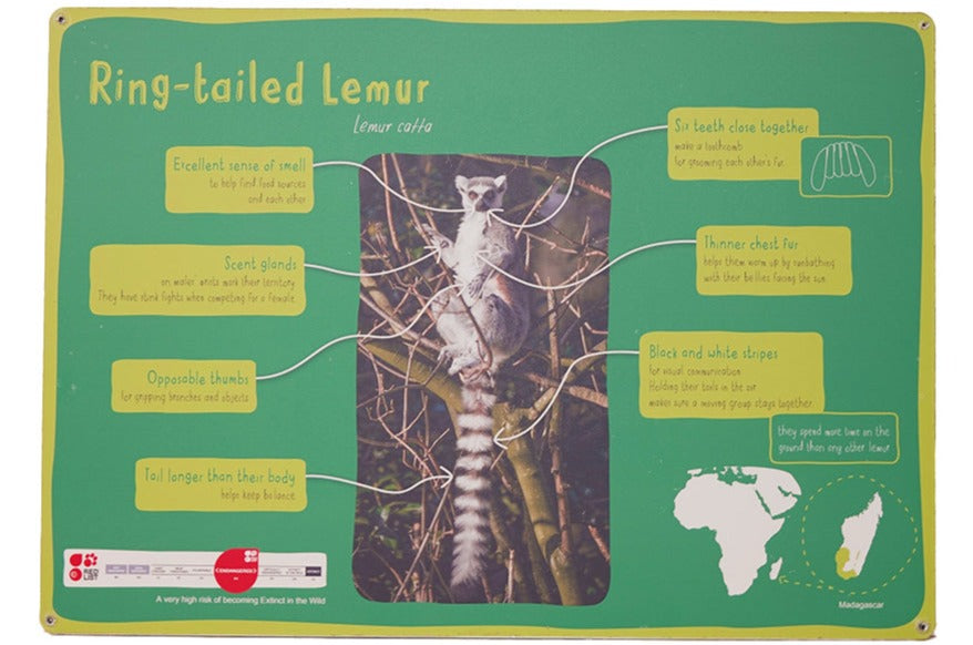 Ring-tailed Lemur Sign – Chester Zoo Enterprises Ltd