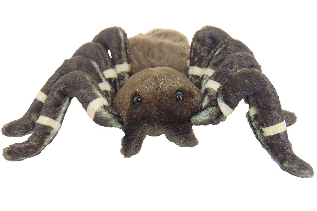 20cm Spider Soft Toy – Chester Zoo Enterprises Ltd