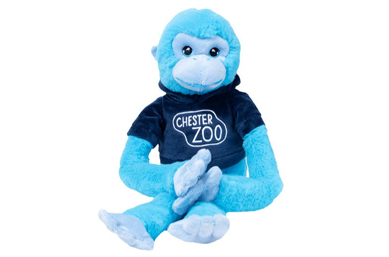 Blue Hanging Monkey – Chester Zoo Enterprises Ltd